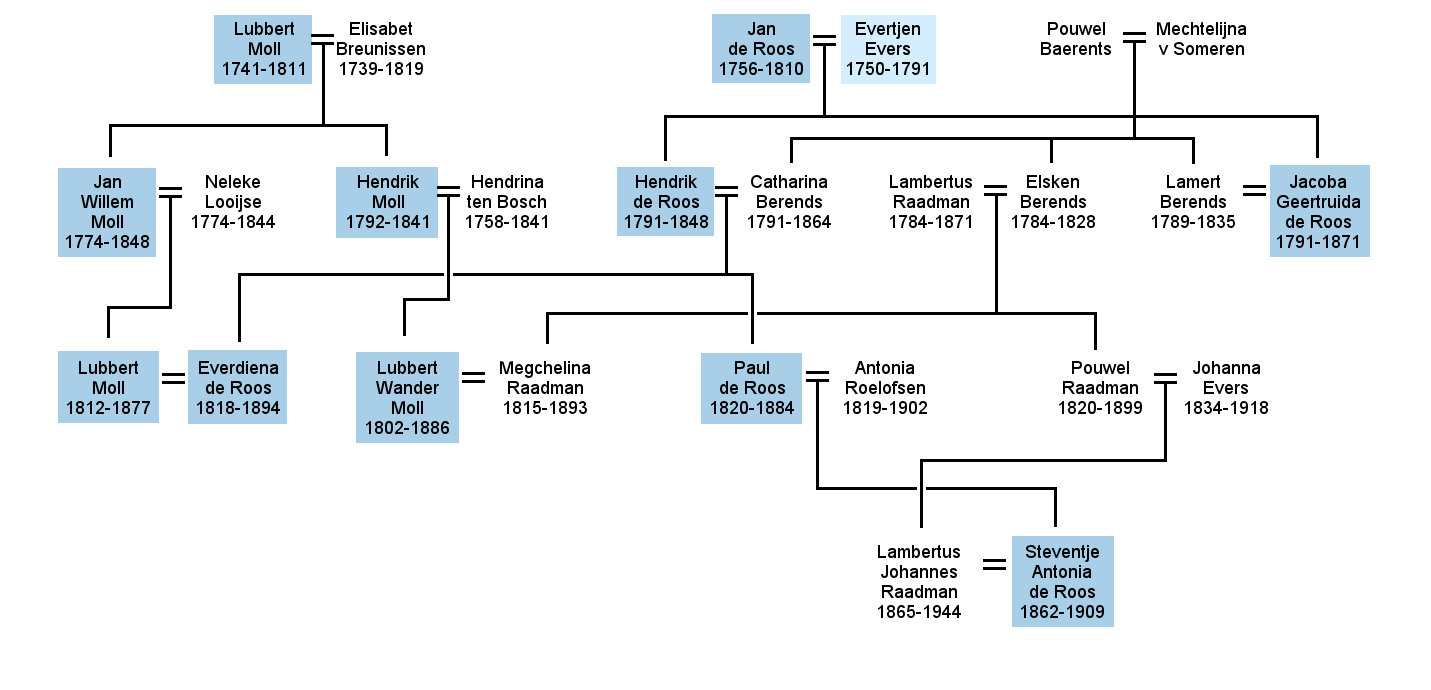 More Tangled Interrelationships in Arnhem – boldts.net